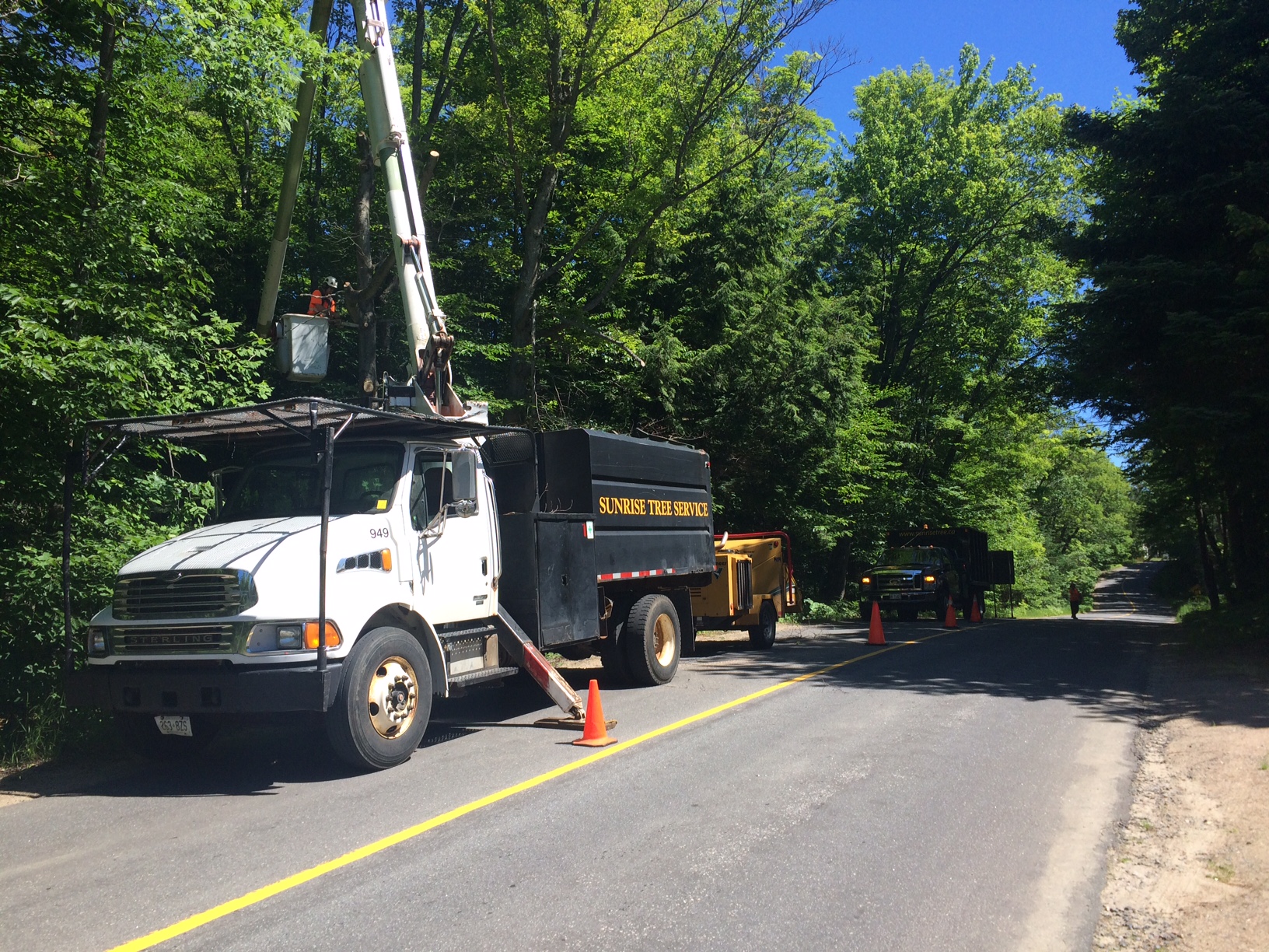 5 - Sunrise Tree Service